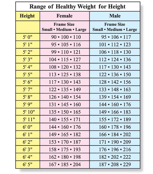 67 FRAME SIZE HEIGHT WEIGHT CHART FrameSize 67 FRAME SIZE HEIGHT WEIGHT CHART FrameSize