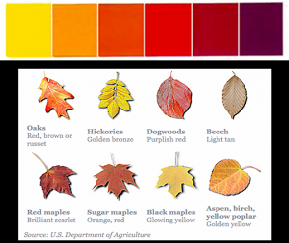 Home Made DIY Decorating In Warm Fall Colors